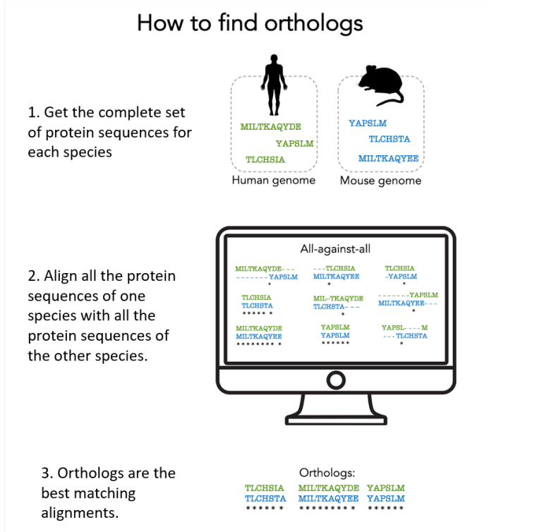 A bit of bioinformatics – In the Light of Evolution