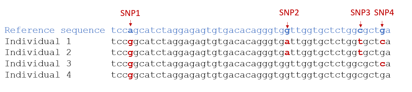 Ancient Greek mysteries – In the Light of Evolution