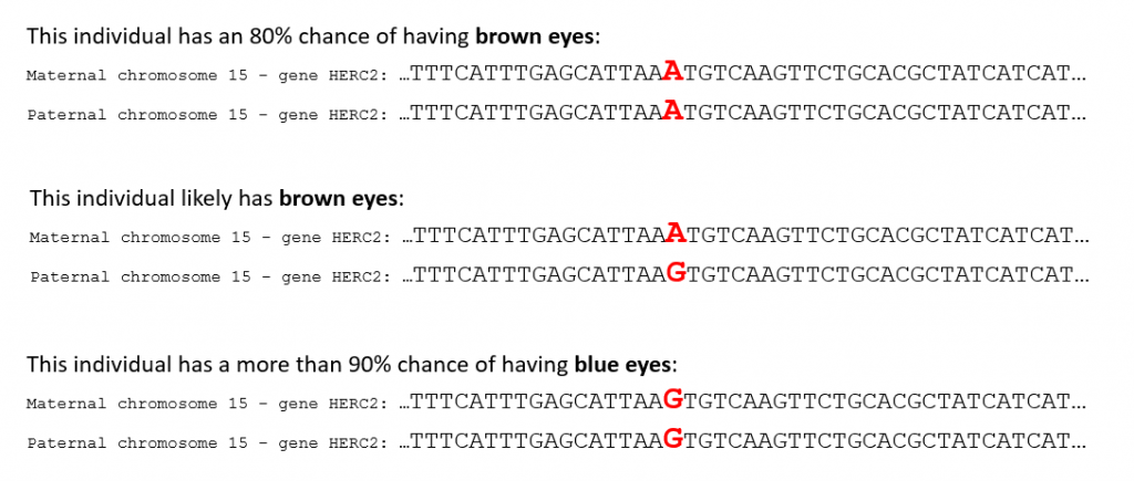 Ancient Greek Mysteries – Your turn to play – In the Light of Evolution